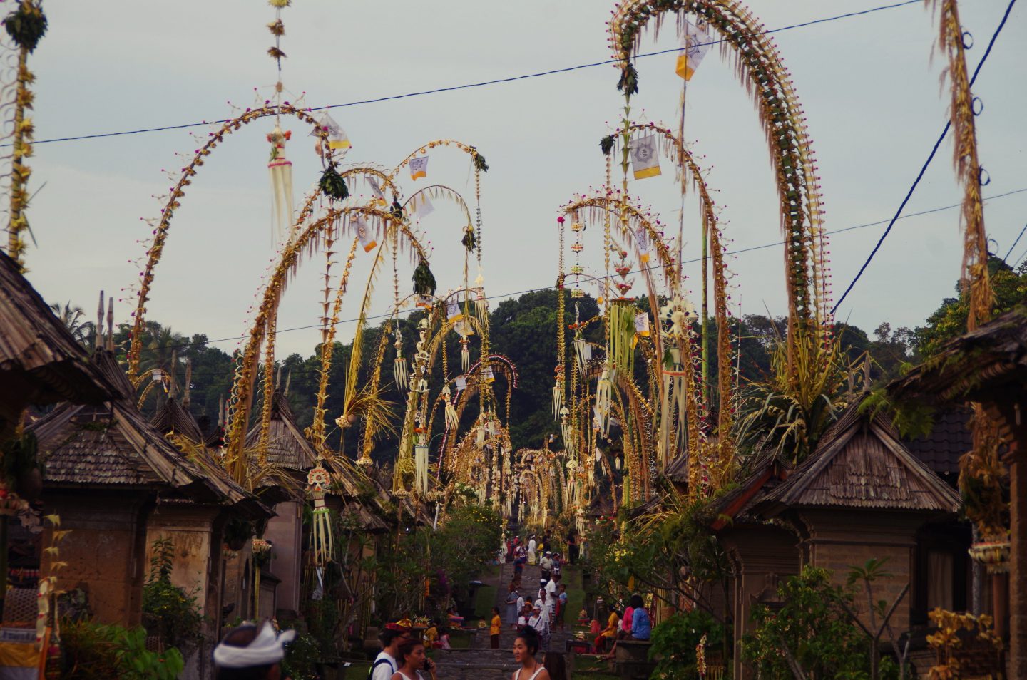 Stage à Bali et perspectives d'avenir | ENABLA