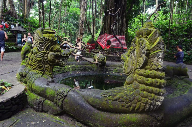 La forêt des singes à Ubud, Bali | ENABLA